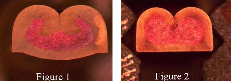 Terminal Cross-section Analysis - HongHao Technology - A Wire Harness ...